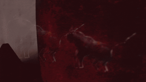 Cave Drawing GIFs - Get the best GIF on GIPHY
