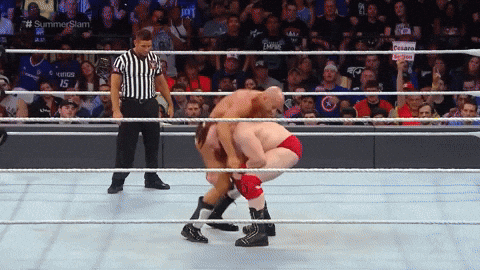 Wwe-summerslam-15 GIFs - Get the best GIF on GIPHY