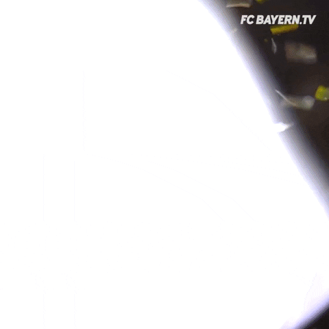 German-champion GIFs - Get the best GIF on GIPHY