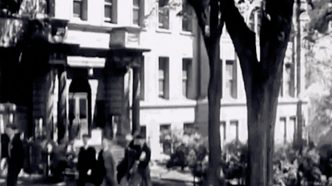 School Of Education GIFs - Get the best GIF on GIPHY