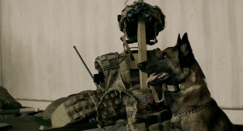 Military Dog GIFs - Get the best GIF on GIPHY