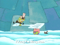 Spongebob Survival Of The Idiots Gif
