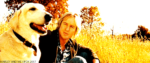 Owen Wilson GIF by 20th Century Fox Home Entertainment - Find & Share ...
