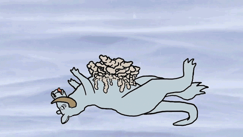 Taun Taun GIFs - Get the best GIF on GIPHY