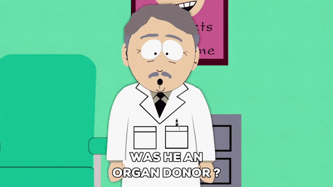 Doctor Organ Donor GIF by South Park - Find & Share on GIPHY