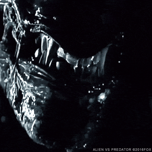 Alien-versus-predator GIFs - Get the best GIF on GIPHY