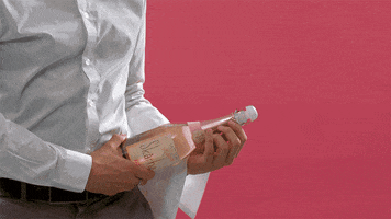 Sparkling Wine GIFs - Find & Share on GIPHY