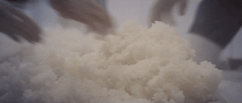 Birth Of Sake GIFs - Get the best GIF on GIPHY