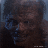 A Mosca 1986 Gif The Fly Goldblum GIFs | Tenor