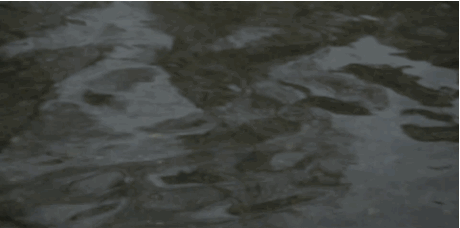 Water River GIF by Charles Pieper - Find & Share on GIPHY