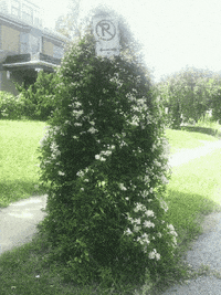 Its Complicated GIFs - Find & Share on GIPHY