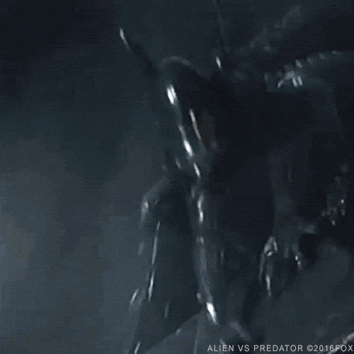 Alien Vs Predator GIF by foxhorror - Find & Share on GIPHY
