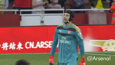 Petr Cech GIFs - Get the best GIF on GIPHY