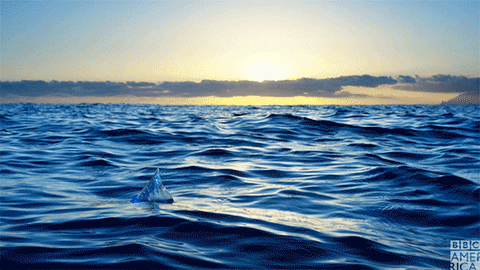 Blue Planet Oceans GIF by BBC America - Find & Share on GIPHY