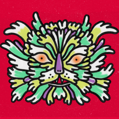 Cat Dragon GIF - Find & Share on GIPHY