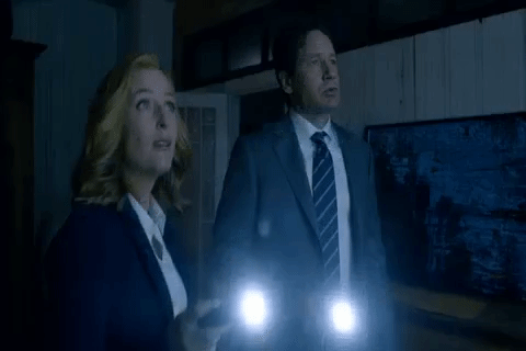 Episode 2 GIF by The X-Files - Find & Share on GIPHY