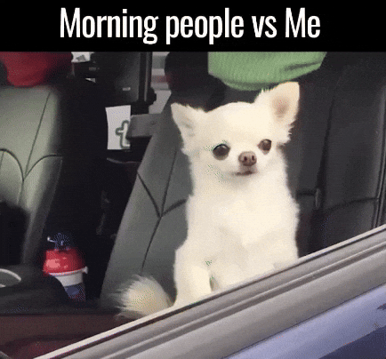 Morning-is-here GIFs - Get the best GIF on GIPHY