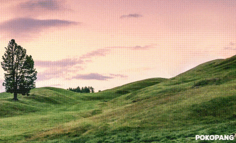 Happy Animation GIF by POKOPANG - Find & Share on GIPHY