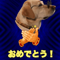 Dog Clapping GIFs - Find & Share on GIPHY