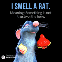 Rat Meme GIFs - Find & Share on GIPHY