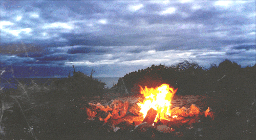 New trending GIF tagged fire overcast perfect loops… | Trending Gifs