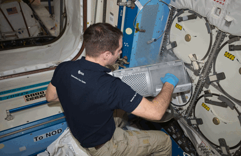 Space Astronaut GIF by NASA - Find & Share on GIPHY