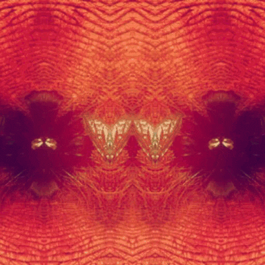 Art Horror GIF by Death Orgone - Find & Share on GIPHY