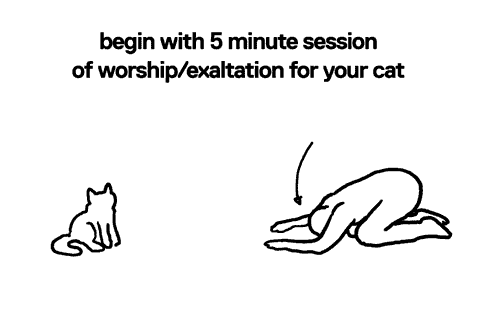 Chin-scratching GIFs - Get the best GIF on GIPHY