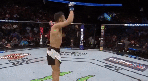 Take A Bow Ufc GIF - Find & Share on GIPHY
