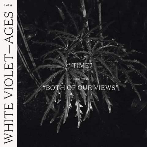 Pulse Wave GIFs - Find & Share on GIPHY