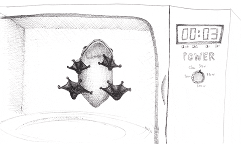 Micro Wave GIFs - Get the best GIF on GIPHY