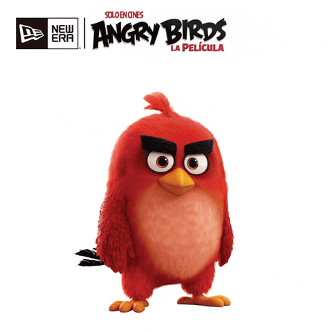 Amro GIFs - Get the best GIF on GIPHY