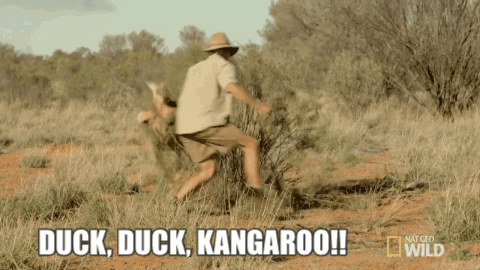 Kangaroo Dundee Australia GIF by Nat Geo Wild - Find & Share on GIPHY