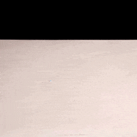 Cut Out Stop Motion GIF by Visual Num Nums - Find & Share on GIPHY