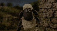 Angry Sheep Gif