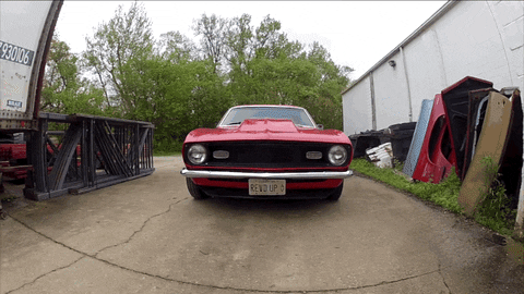 Revd-up GIFs - Get the best GIF on GIPHY