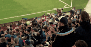 Fans Clapping GIF by Philadelphia Union - Find & Share on GIPHY