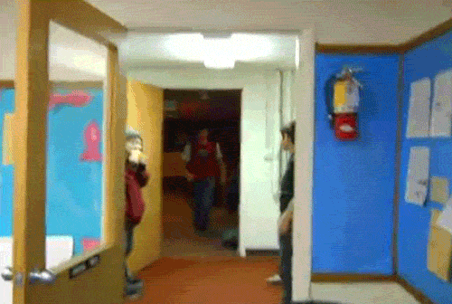 Afv GIF by America's Funniest Home Videos - Find & Share on GIPHY