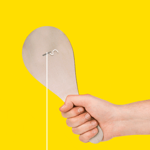 Broken-shells GIFs - Get the best GIF on GIPHY