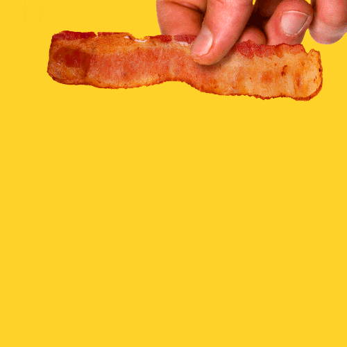 Breakfast GIFs by Justin Gammon | GIPHY