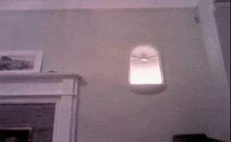 Afv GIF by America's Funniest Home Videos - Find & Share on GIPHY