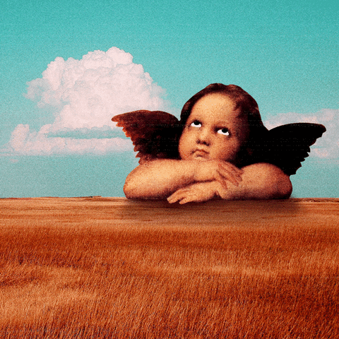 Why Dea Why GIFs - Get the best GIF on GIPHY