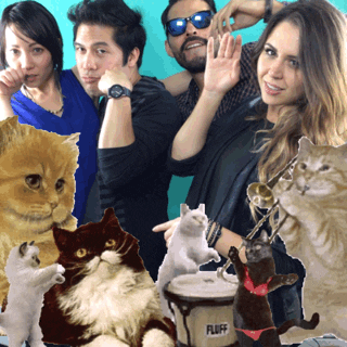 Google Cat Meow GIFs - Get the best GIF on GIPHY