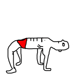 Draw Red GIFs - Get the best GIF on GIPHY