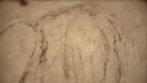 The Pretty Reckless GIFs on GIPHY - Be Animated