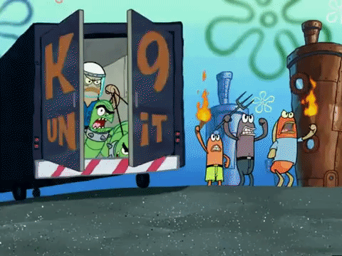 Season 6 The Splinter GIF by SpongeBob SquarePants - Find & Share on GIPHY