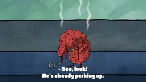 See-look GIFs - Get the best GIF on GIPHY