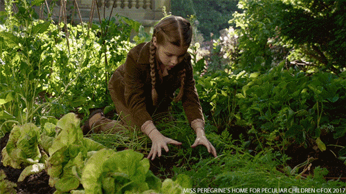 Peculiar-children GIFs - Get the best GIF on GIPHY