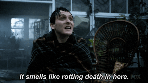 It Stinks Fox Broadcasting GIF by Gotham - Find & Share on GIPHY