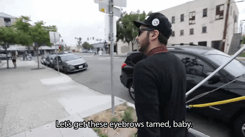 Bushy-brows GIFs - Get the best GIF on GIPHY